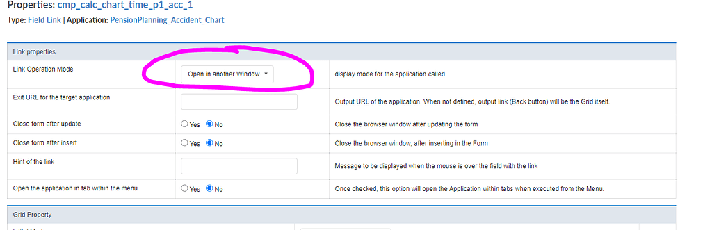 Application link "Open in another window" full screen - General - Scriptcase Low-code