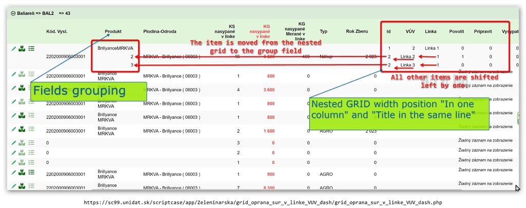 Bug In Nested Grid With Fields Grouping And Nested Grid Width Position In One Column And