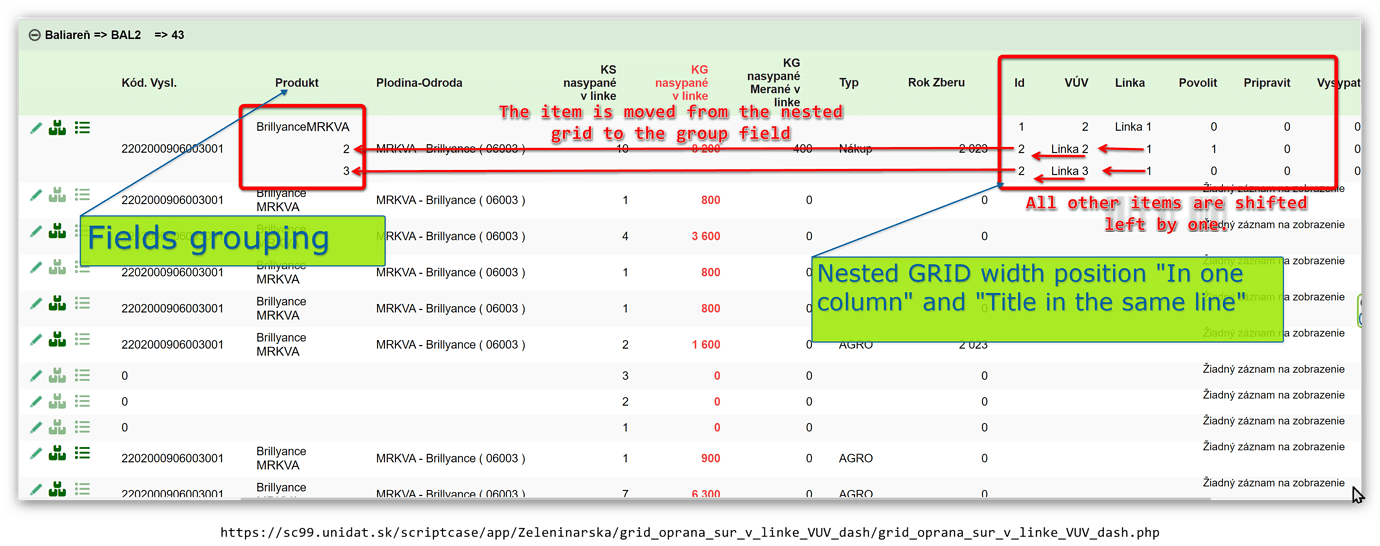 Bug In Nested Grid With Fields Grouping And Nested Grid Width Position In One Column And