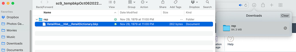 Backup a project - Scriptcase 9 - Scriptcase Low-code